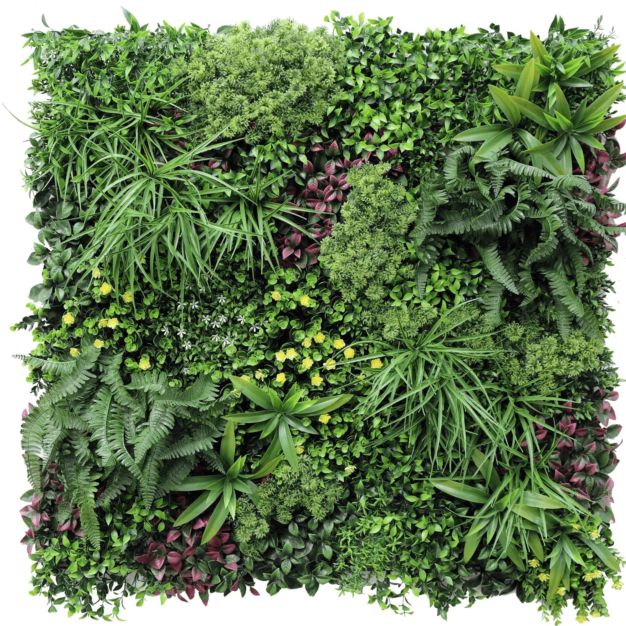 Country Fern Artificial Vertical Garden 40" x 40" 11SQ FT UV Resistant – DesignedByTaylor